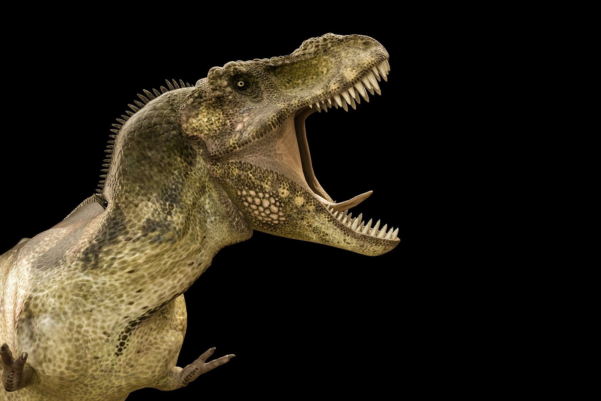 3D Illustration of T-Rex Wall Mural - PASWM