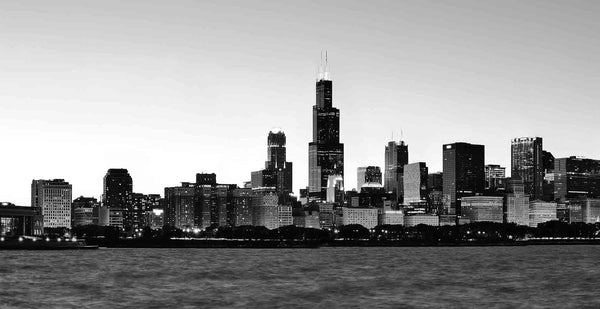Chicago Dark Night time panorama - Peel and Stick Wall Mural - Peel and ...