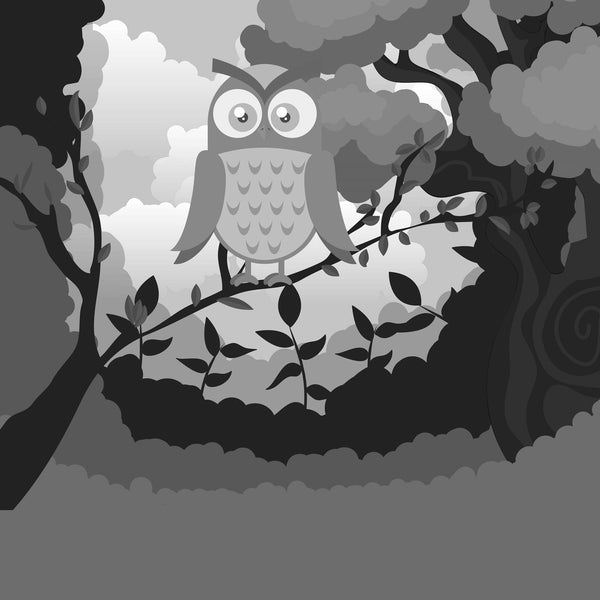 Calm Owl Wall Mural - Peel and Stick Wall Murals