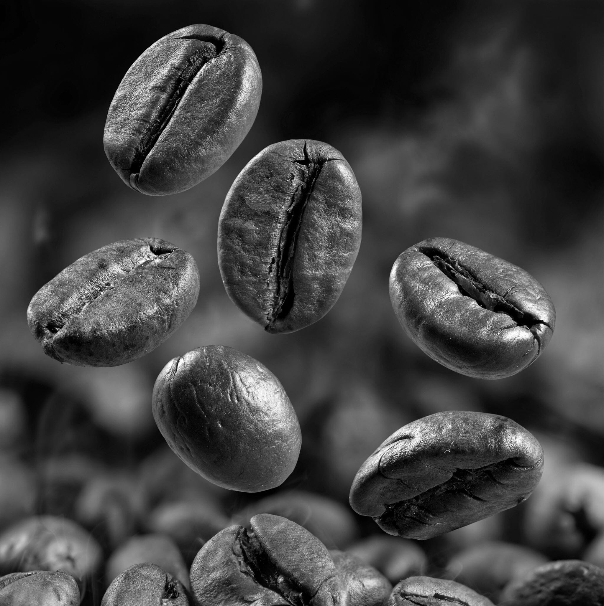 Floating Beans Wall Mural - PASWM