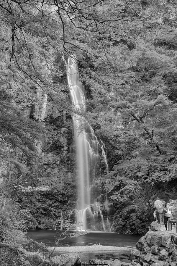 Minoo Waterfall Wall Mural - PASWM