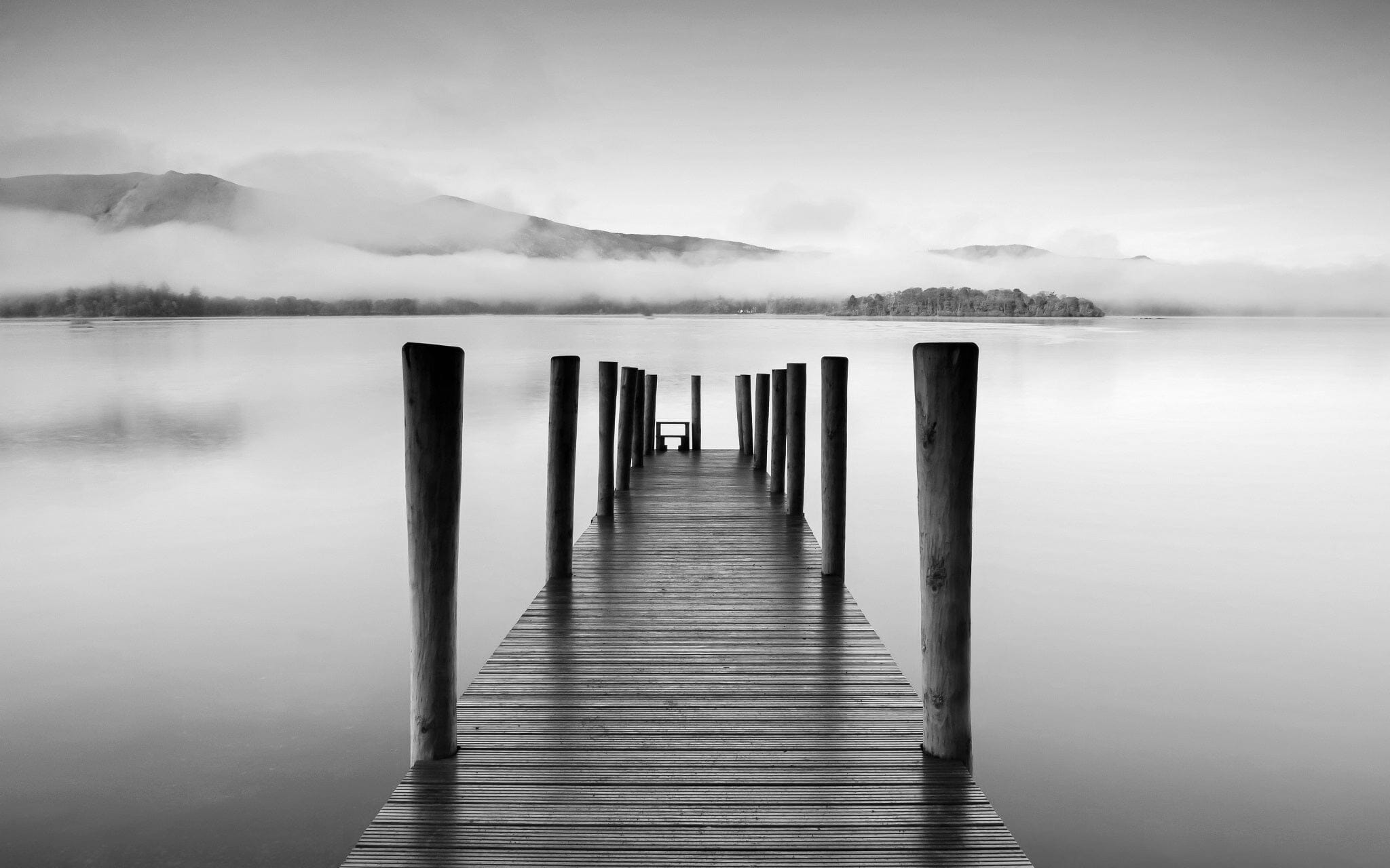 Misty Lake Morning Wall Mural - Peel and Stick Wall Murals