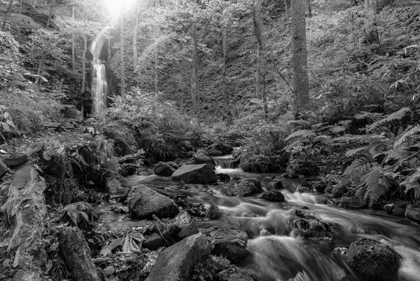 Oirase Autumn Fall Landscape Wall Mural - Peel and Stick Wall Murals