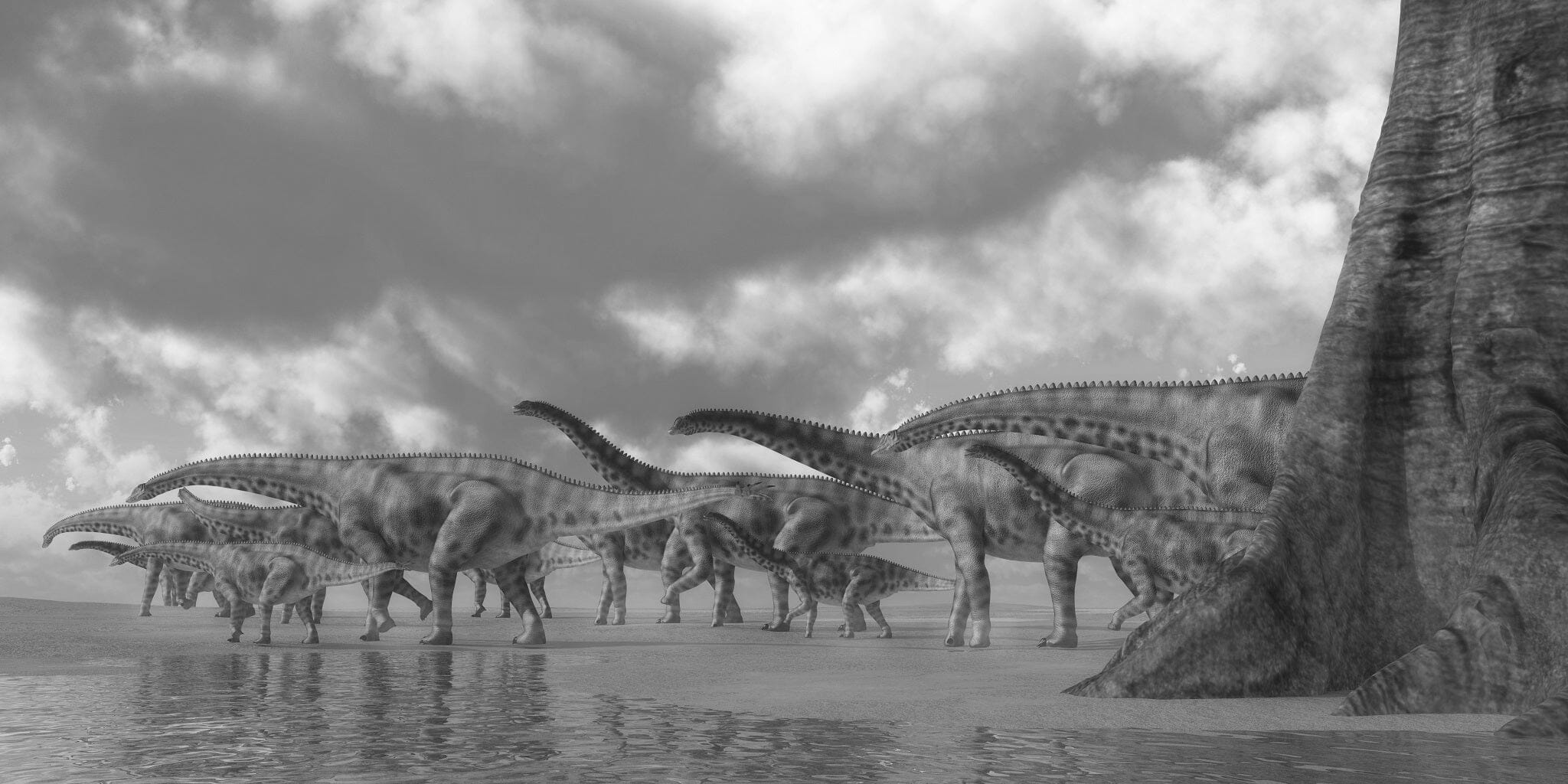 Spinophorosaurus Wall Mural - PASWM