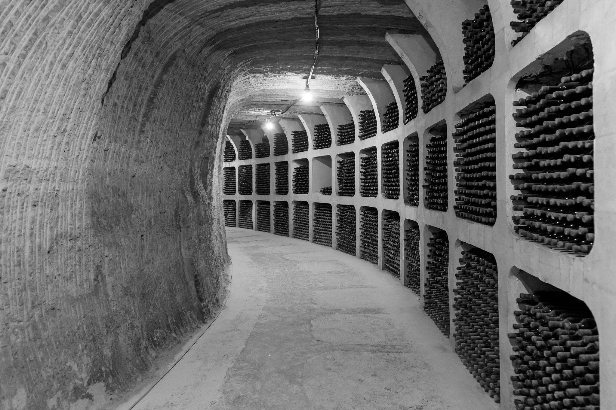 Underground Cellar Wall Mural - PASWM