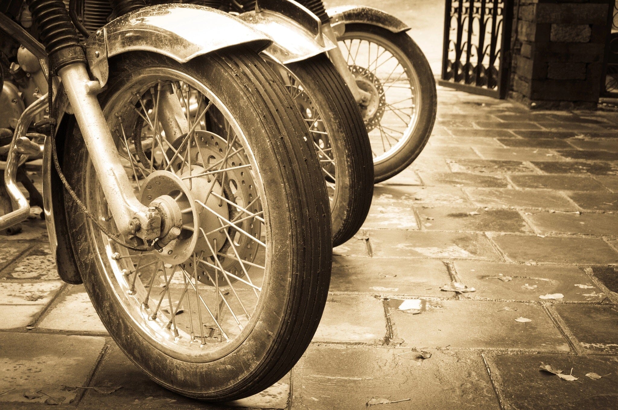 Bikes in a Row Wall Mural - PASWM