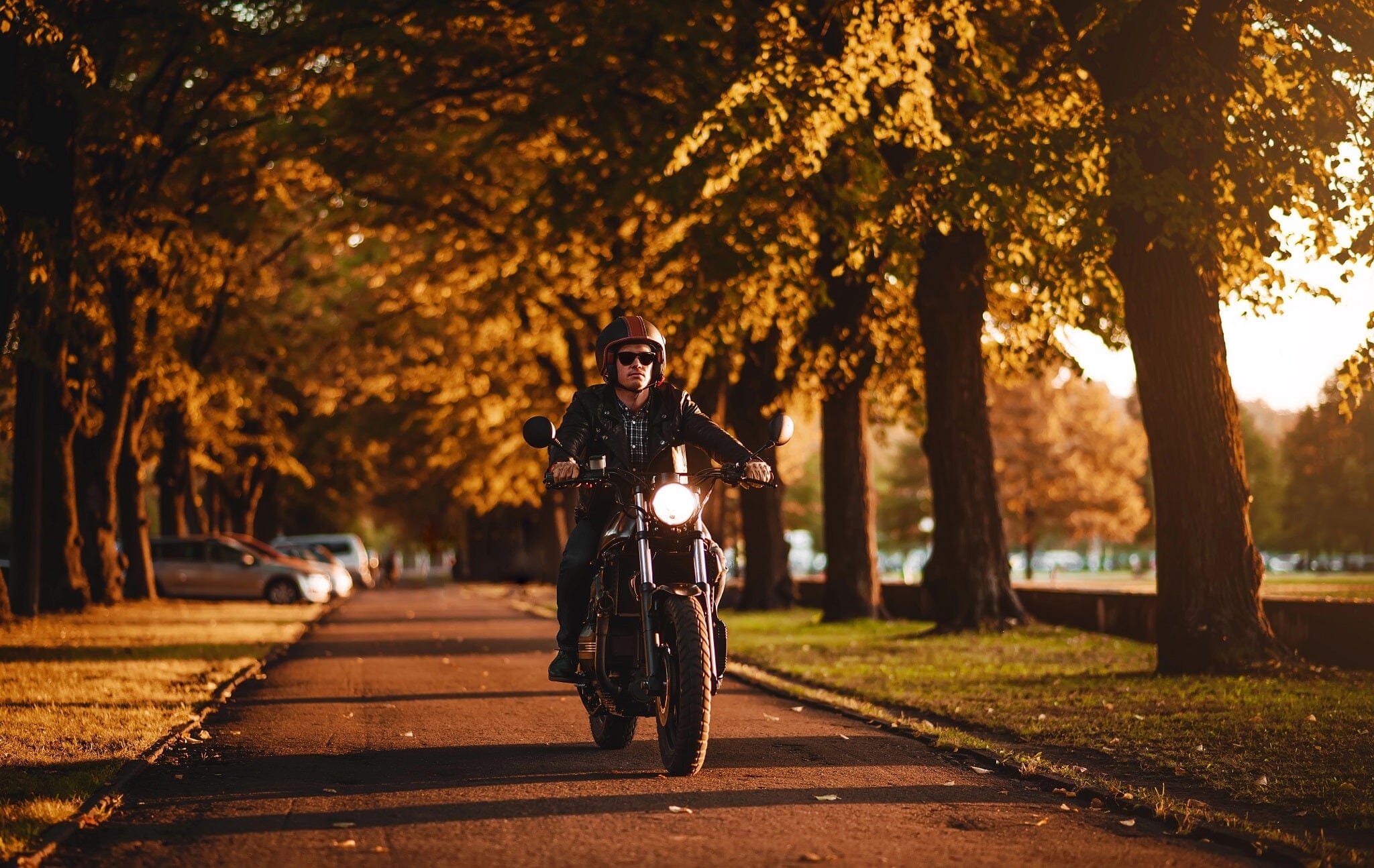 Cafe Racer Motorcycle Wall Mural - Peel and Stick Wall Murals