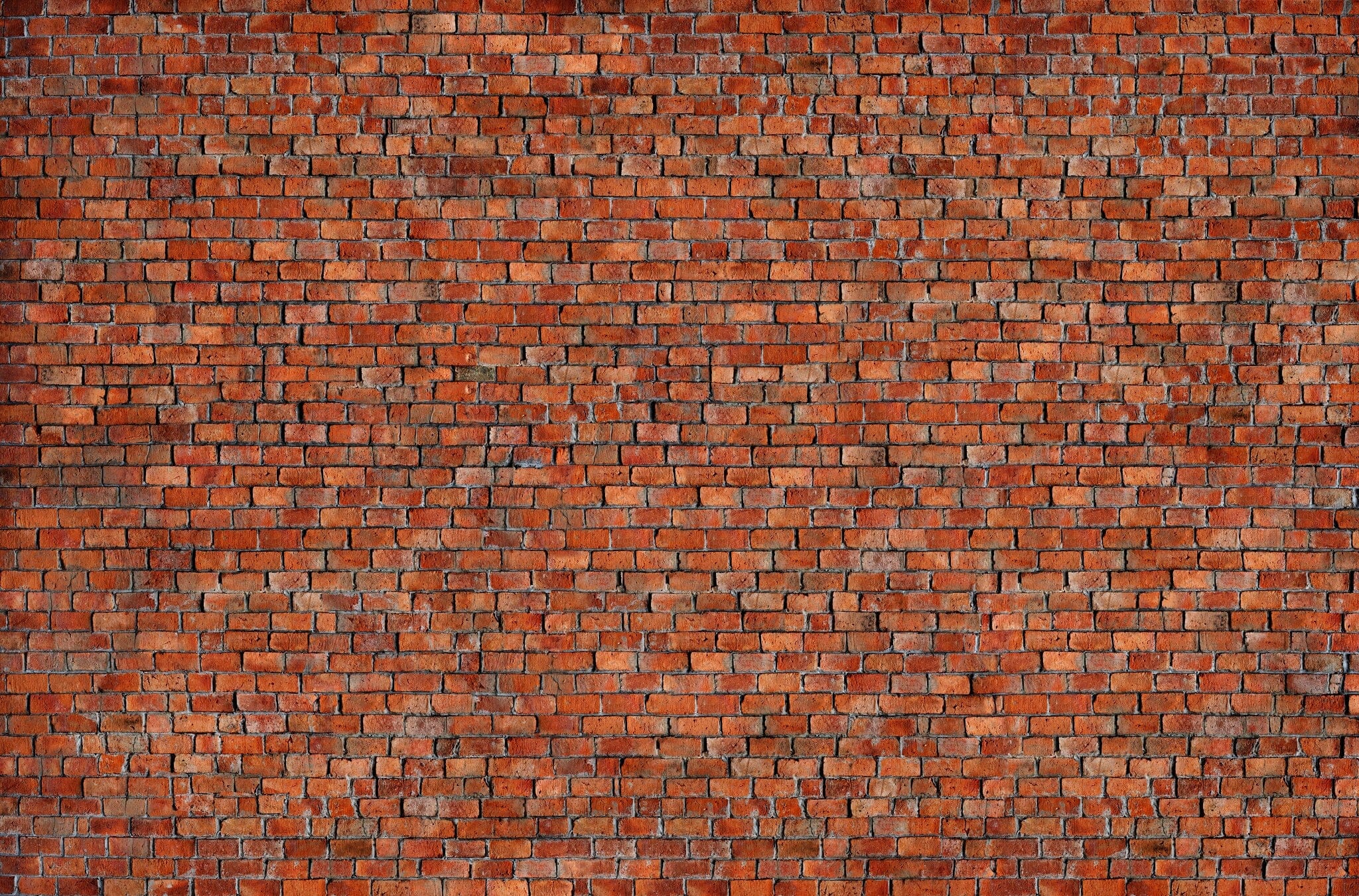 Concrete Brick Texture Wall Mural - PASWM