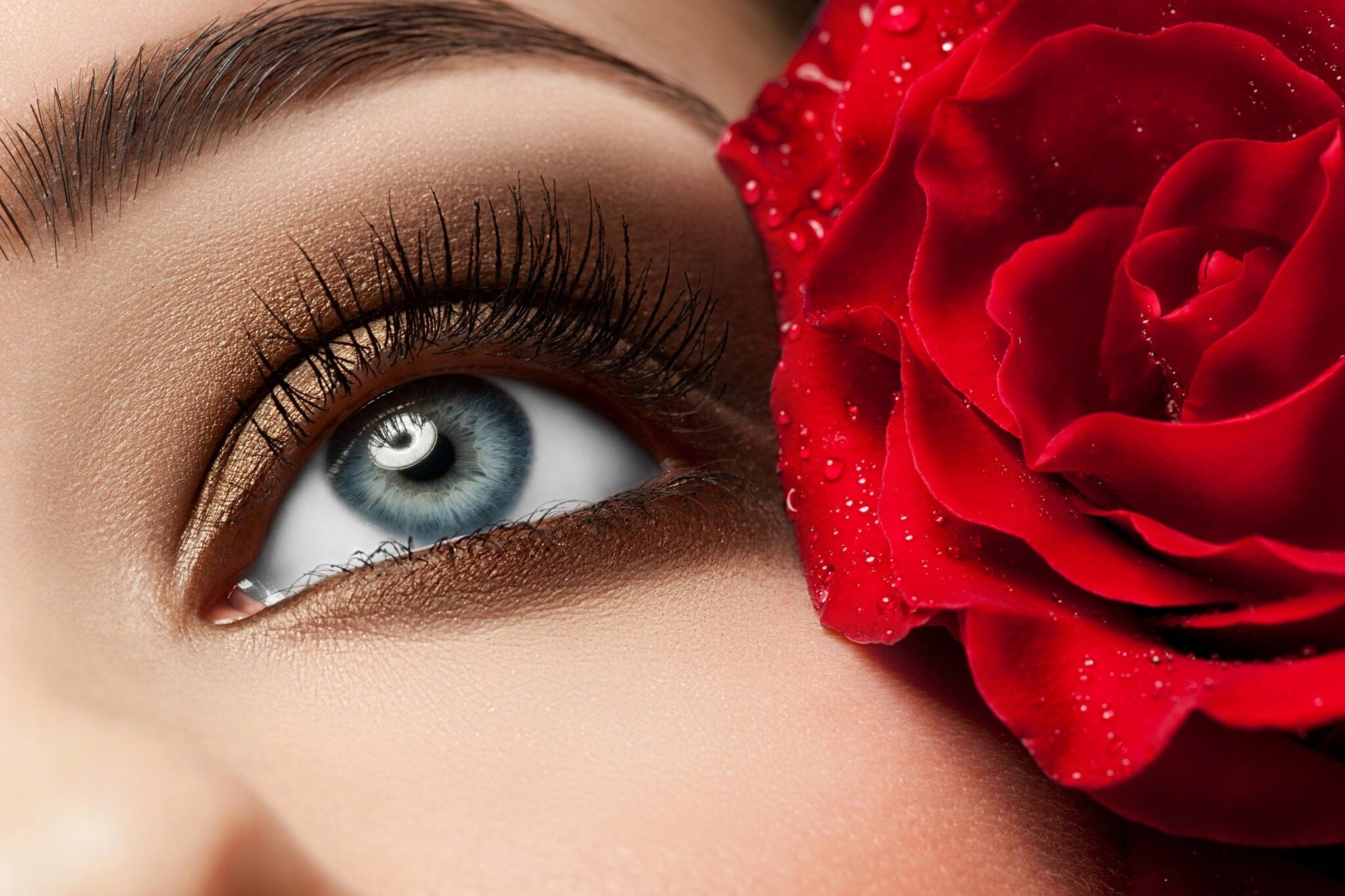 Eye and Rose Wall Mural - PASWM