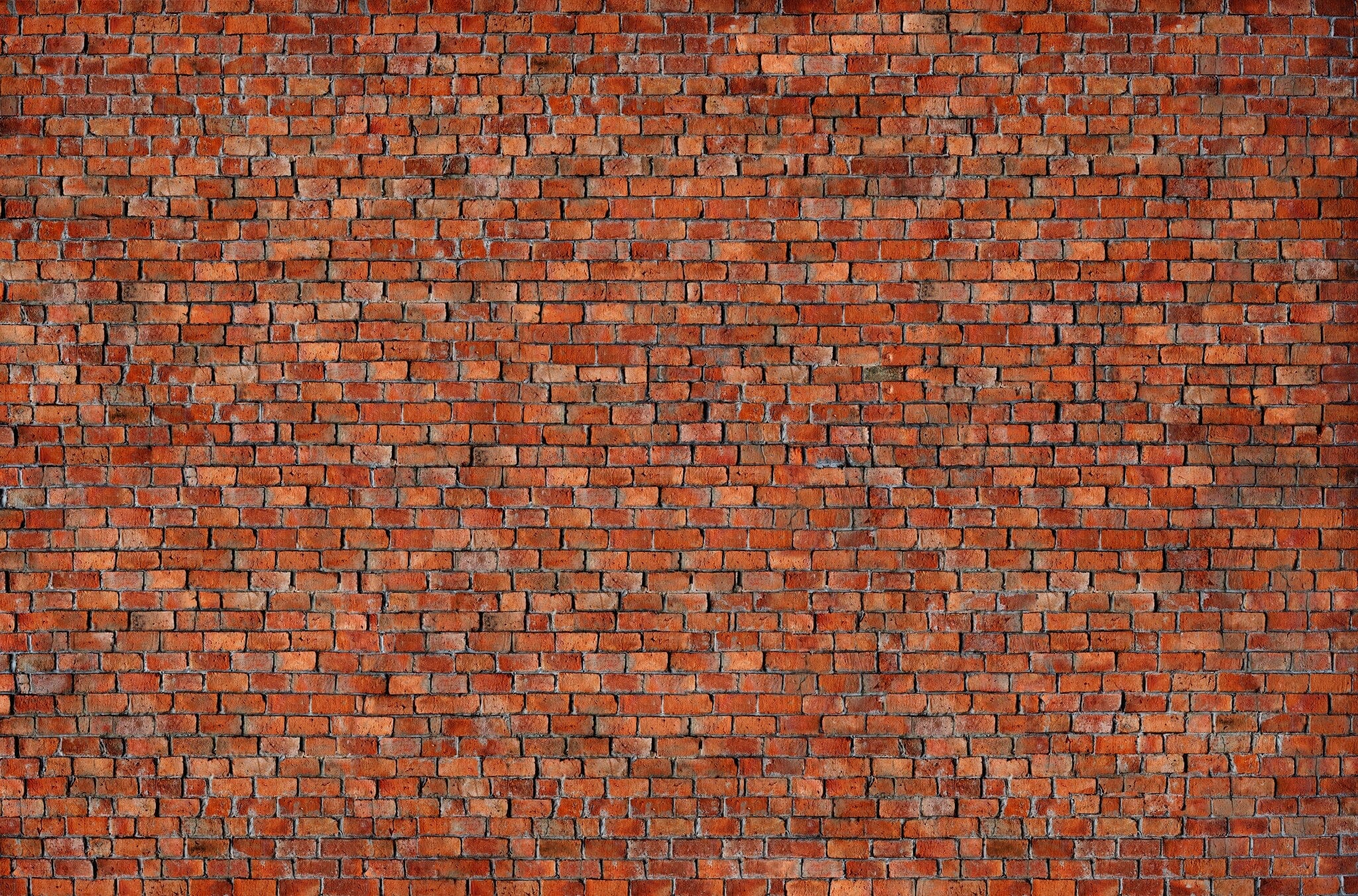 Concrete Brick Texture Wall Mural - PASWM