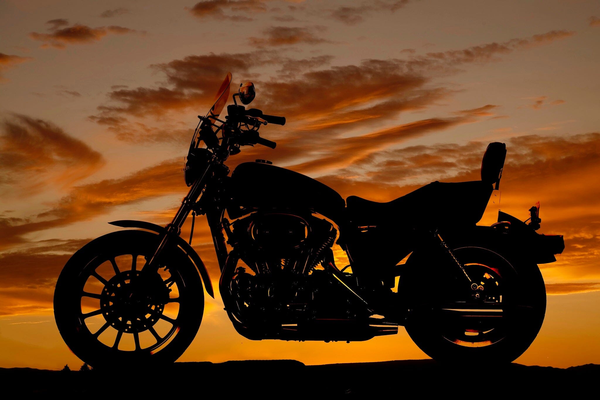 Motorcycle Silhouette Wall Mural - Peel and Stick Wall Murals