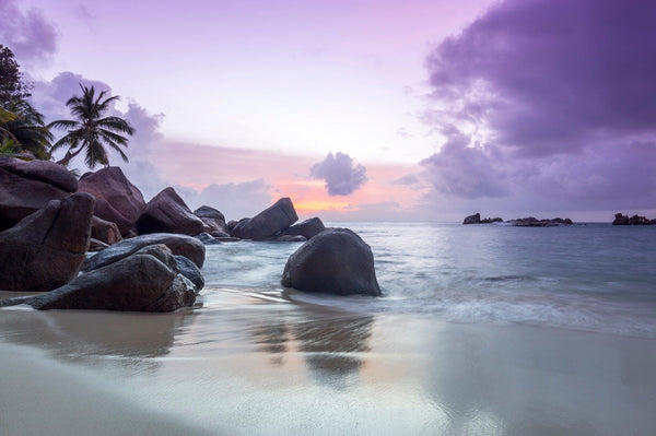 Sunset on Seychelles Beach Wall Mural - PASWM
