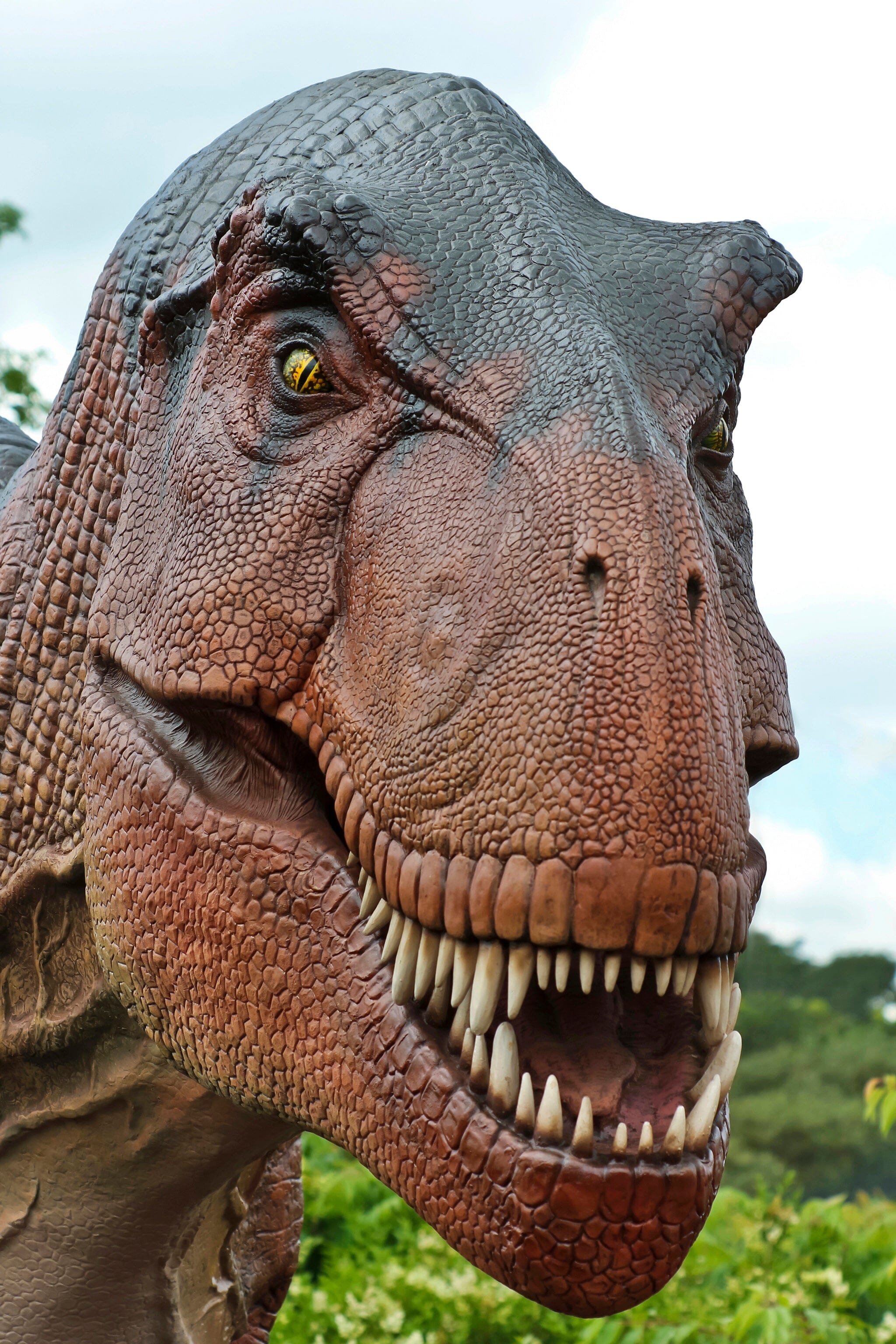 Tyrannosaurus Hunting Wall Mural - PASWM