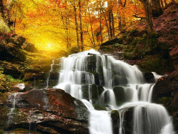 Waterfall Cascade Wall Mural - PASWM