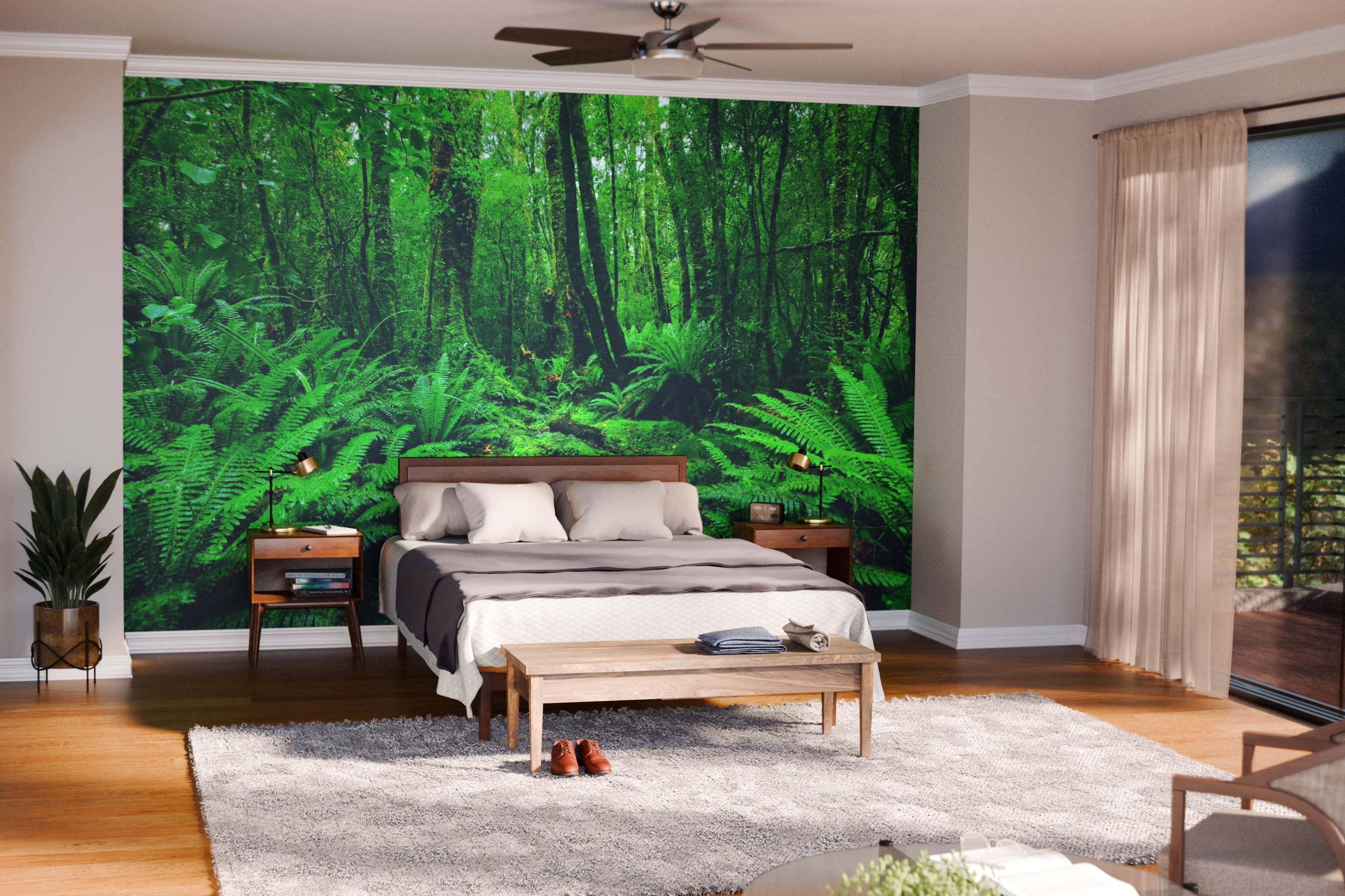 Rainforest Fern Path Wall Mural - PASWM
