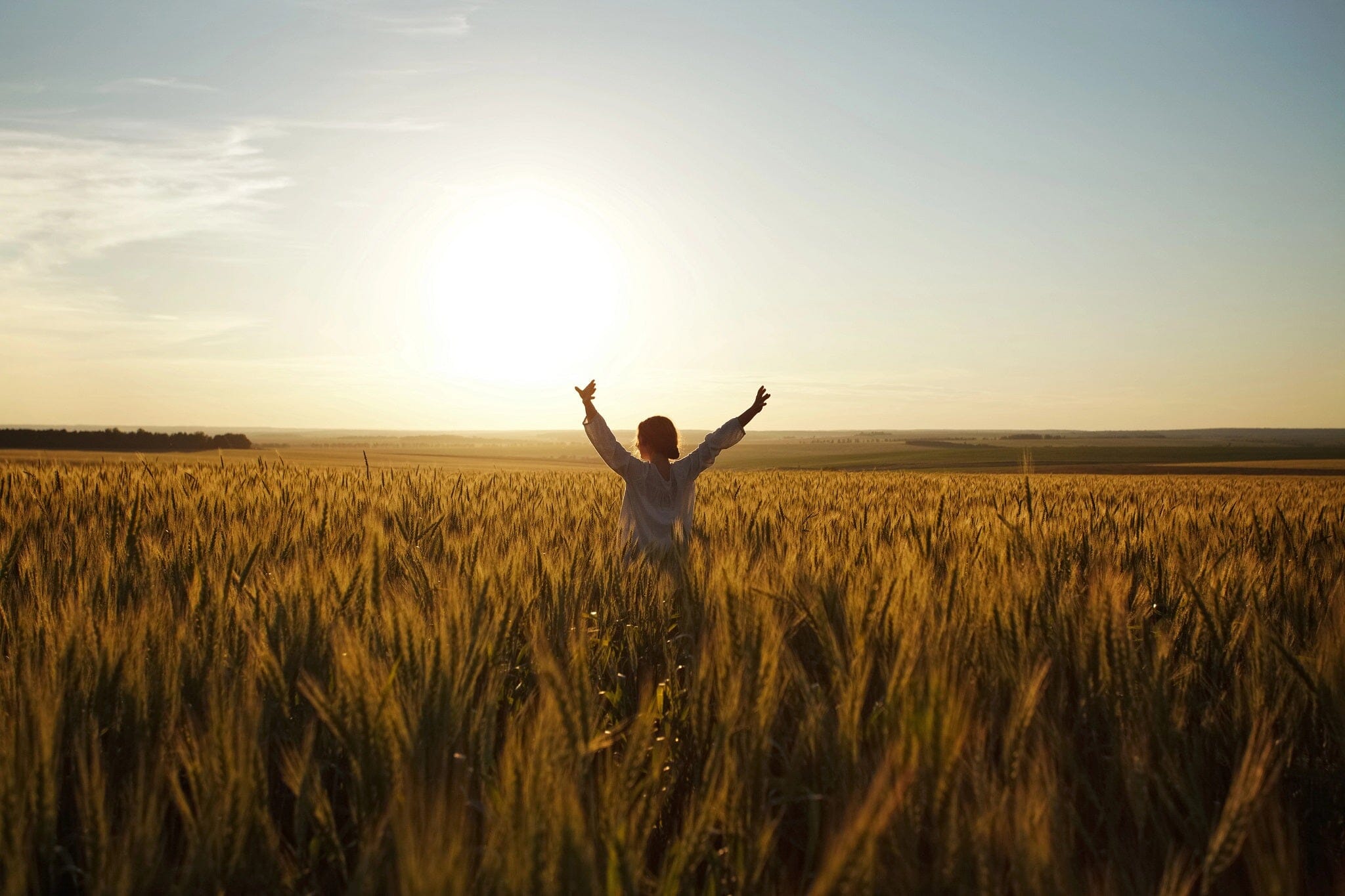 Standing in Wheat Field Wall Mural - Peel and Stick Wall Murals