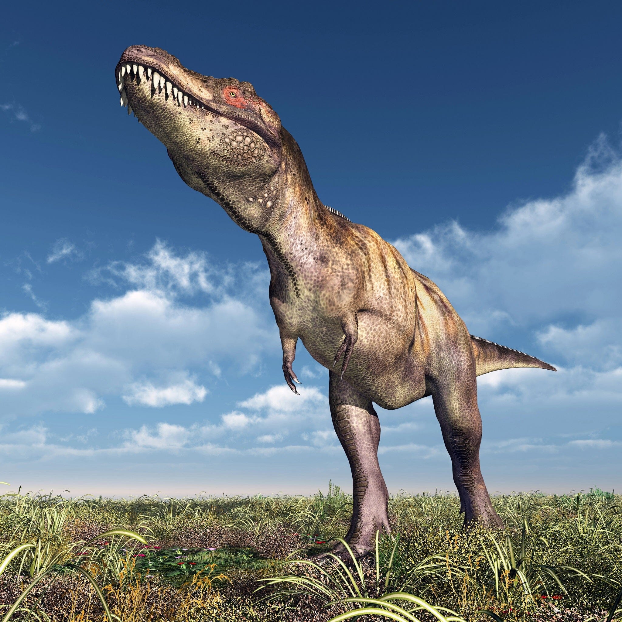 T-Rex Wall Mural - PASWM