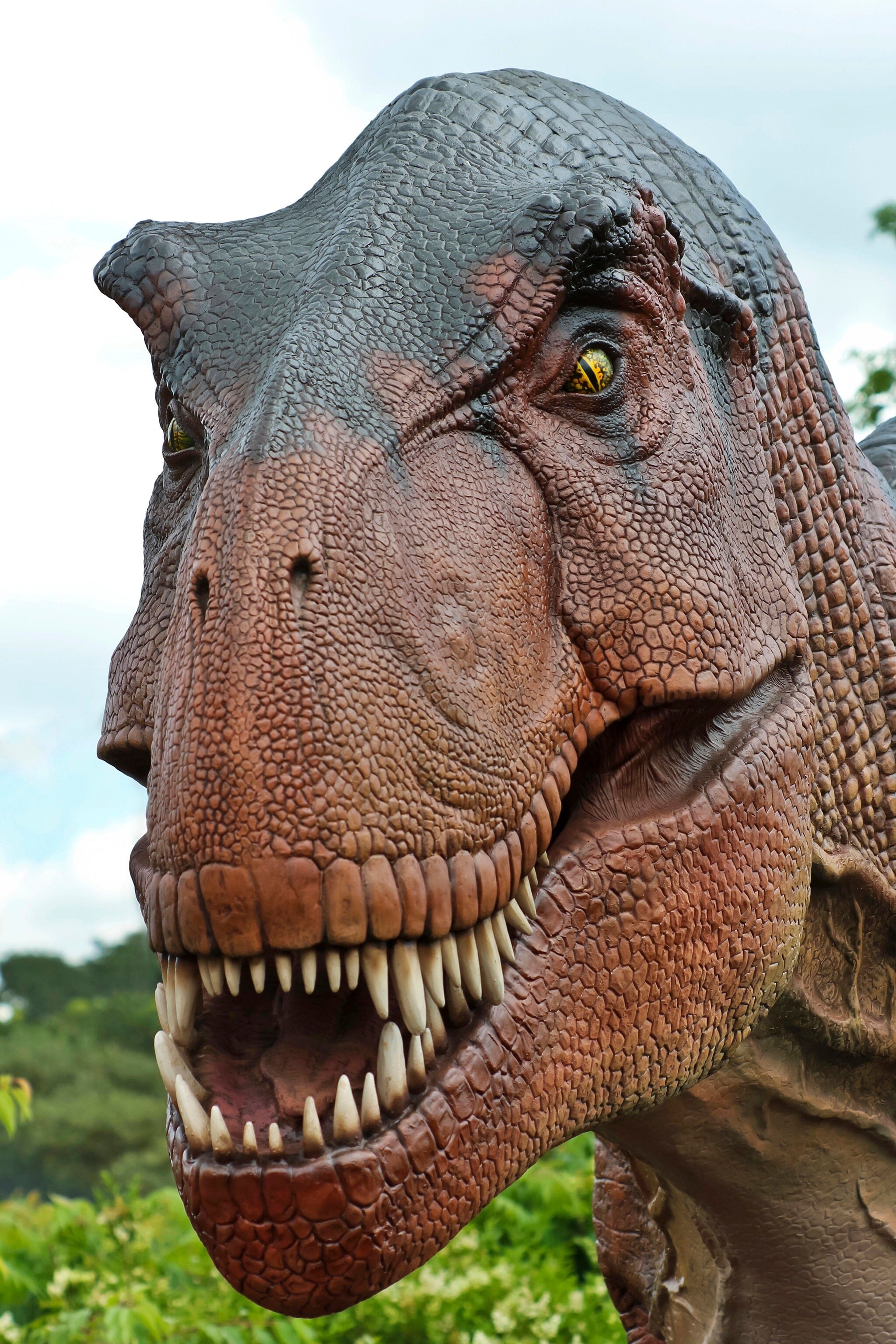 Tyrannosaurus Hunting Wall Mural - PASWM